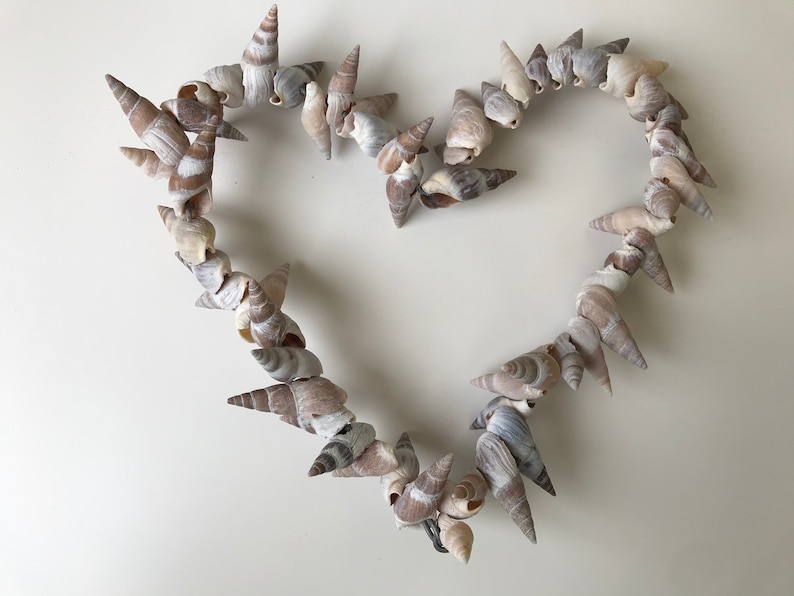 Beautiful Heart With Sea Snail Shells Conch Shells Decor - Etsy