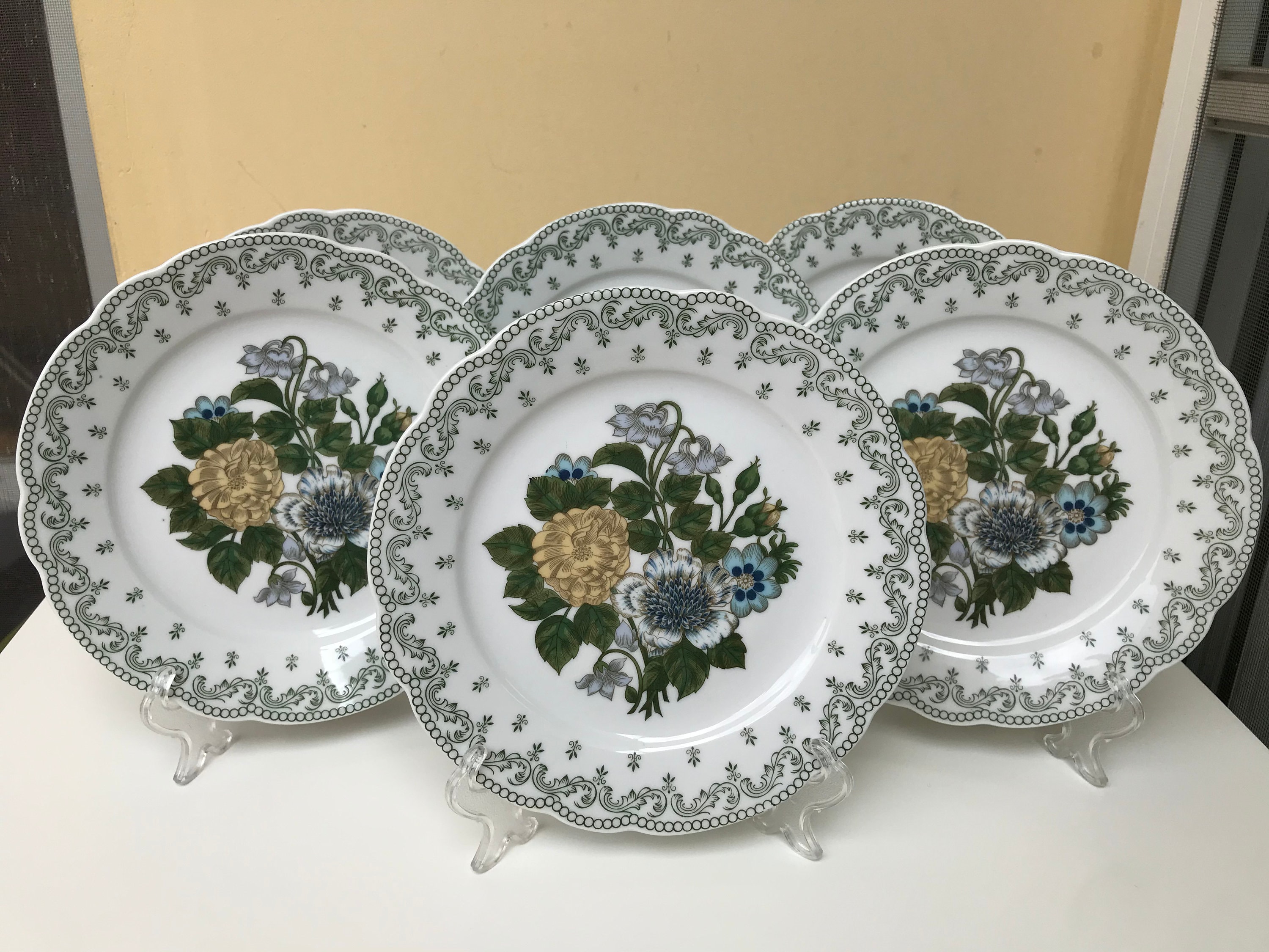 KAHLA Duitsland Porselein Vintage set van 6 Kahla DDR borden - Etsy Nederland