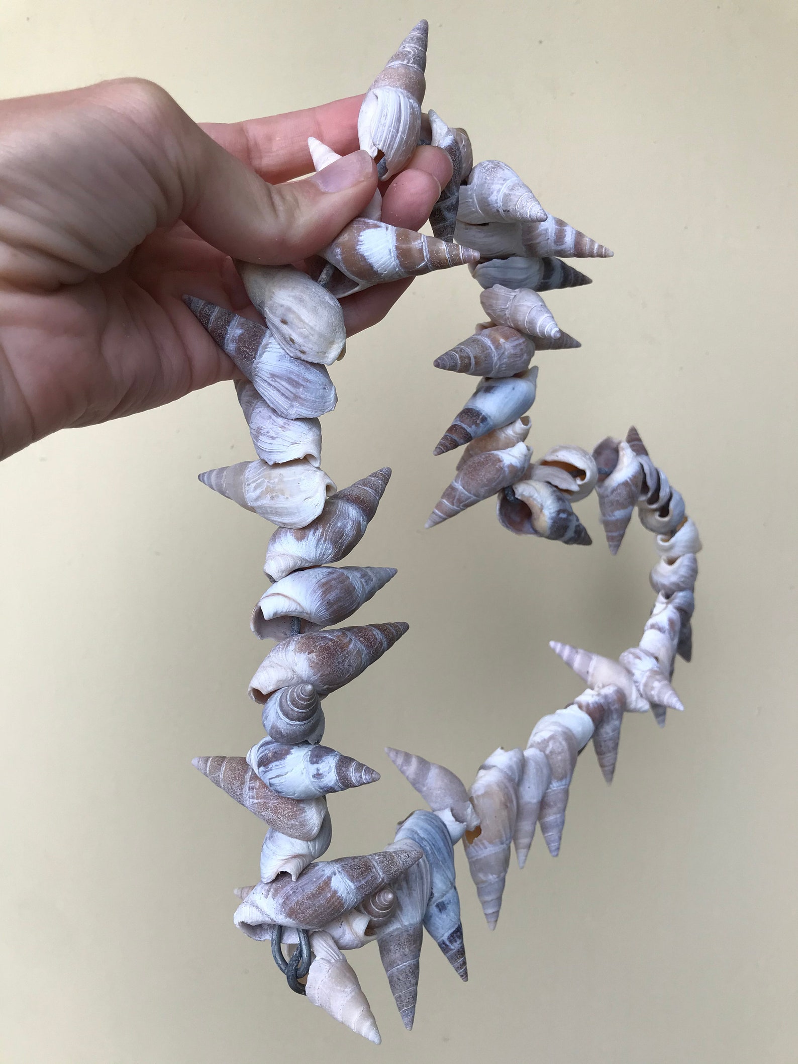 Beautiful Heart With Sea Snail Shells - Conch Shells Decor - Shell ...