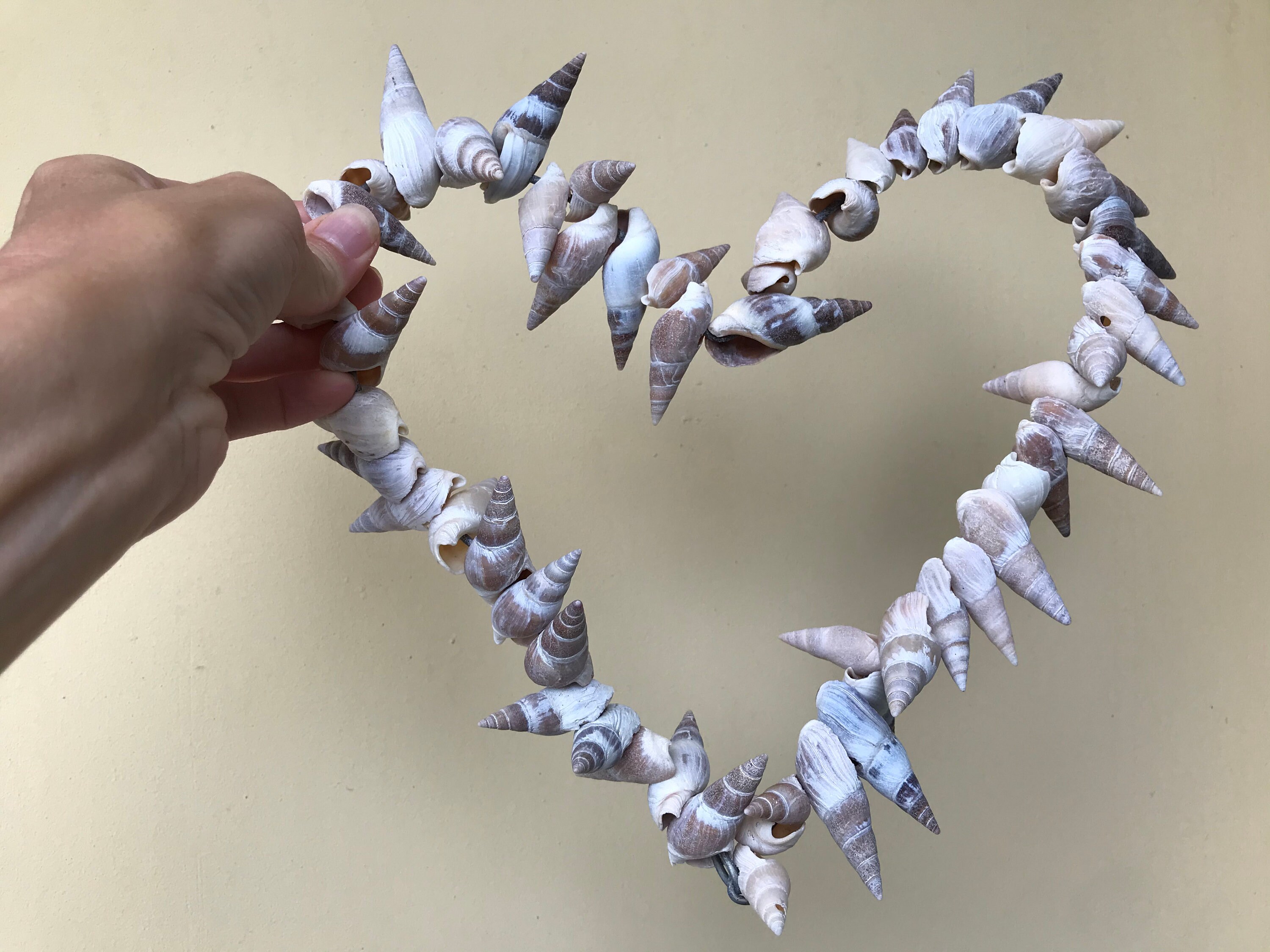 Beautiful Heart With Sea Snail Shells Conch Shells Decor | Etsy