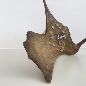 Unique Handmade Watch Made of Horn Fallow Deer - the Clock is UNIQUE ...