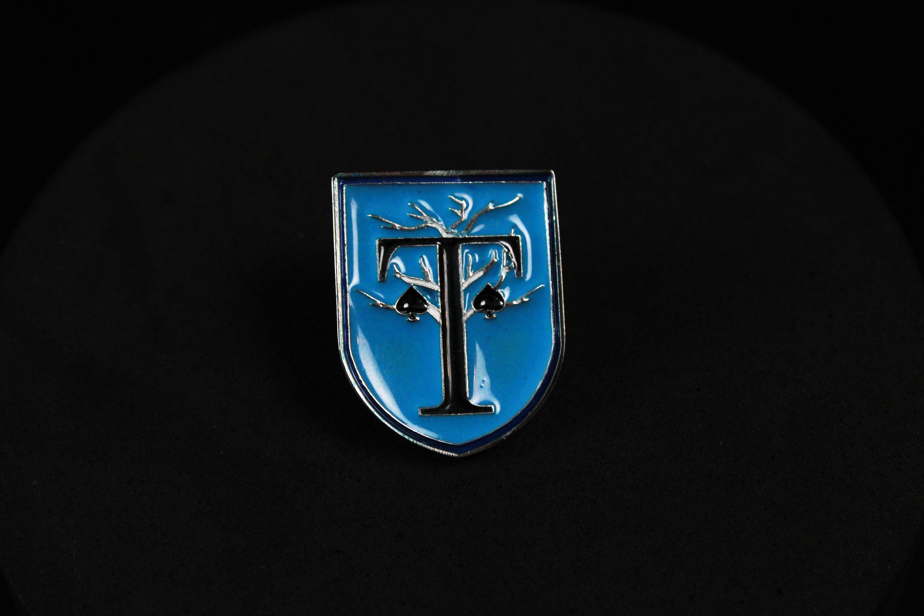 Heartstopper Truham Grammar School Inspired Hard Enamel Lapel - Etsy