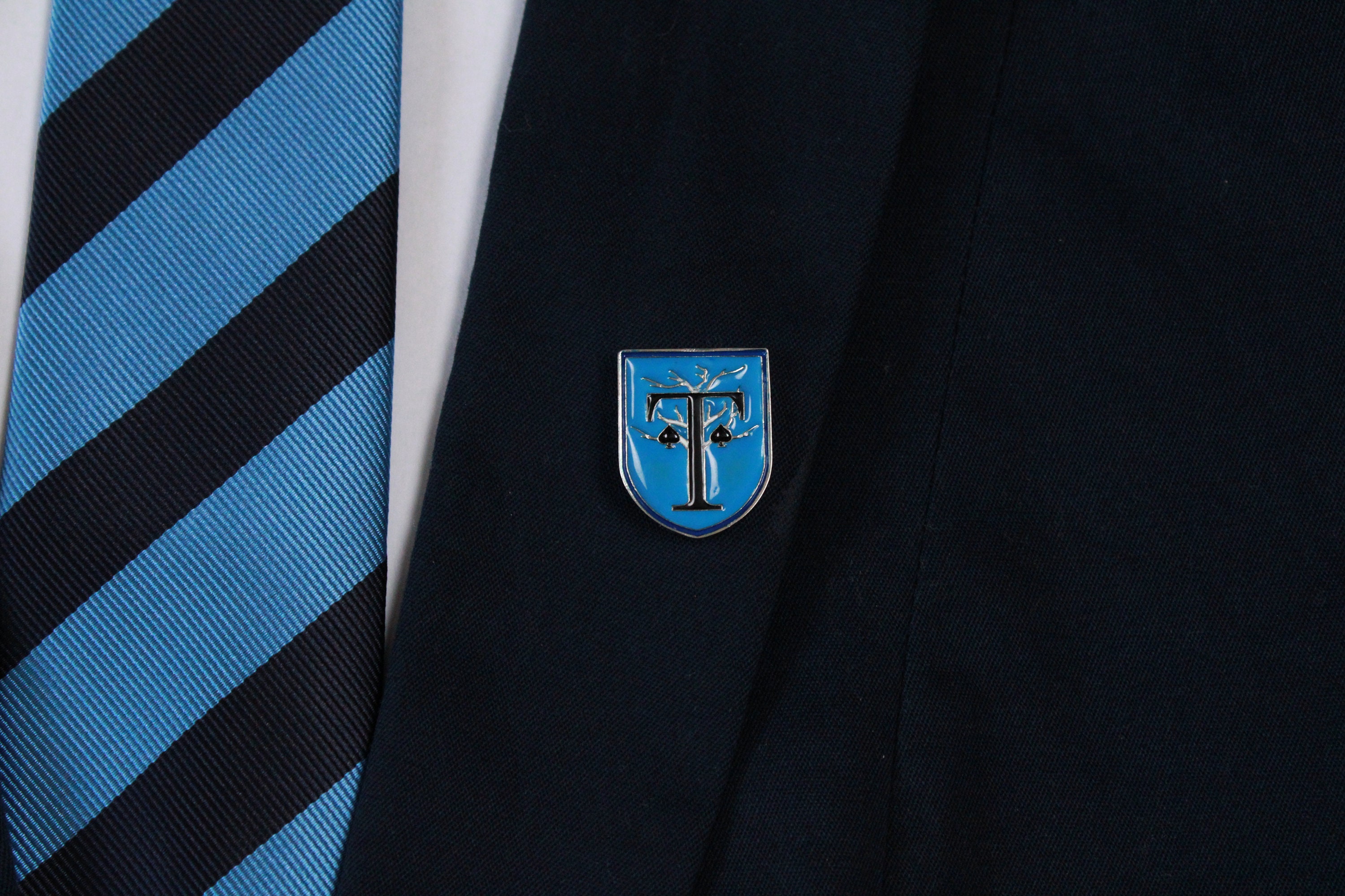 Heartstopper Truham Grammar School Inspired Hard Enamel Lapel - Etsy