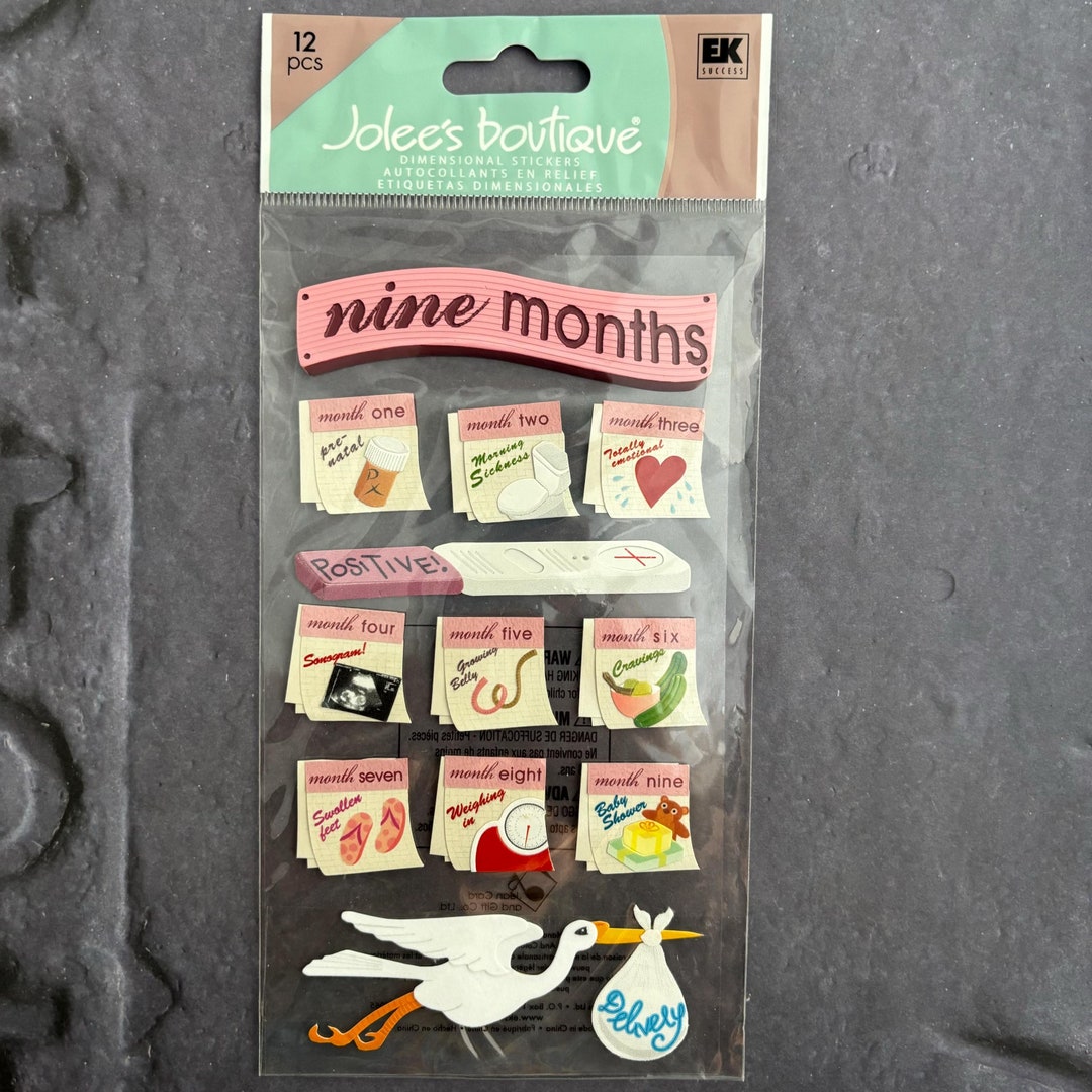 PREGNANT Sticker Expecting Pregnancy Test Sticker Stork Maternity ...
