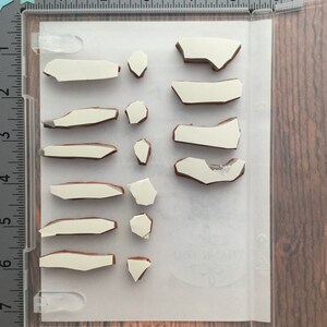 NEW Stampin UP 2 Stamp Sets Short & Sweet Stamp Set Spring Pictogram ...