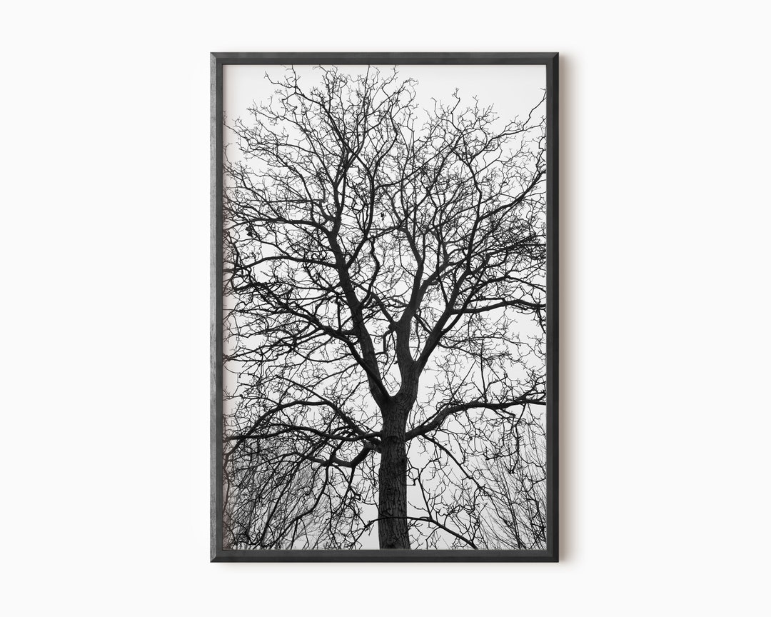 Black Tree Print | Black and White | Tree Wall Art | Minimalist Art ...