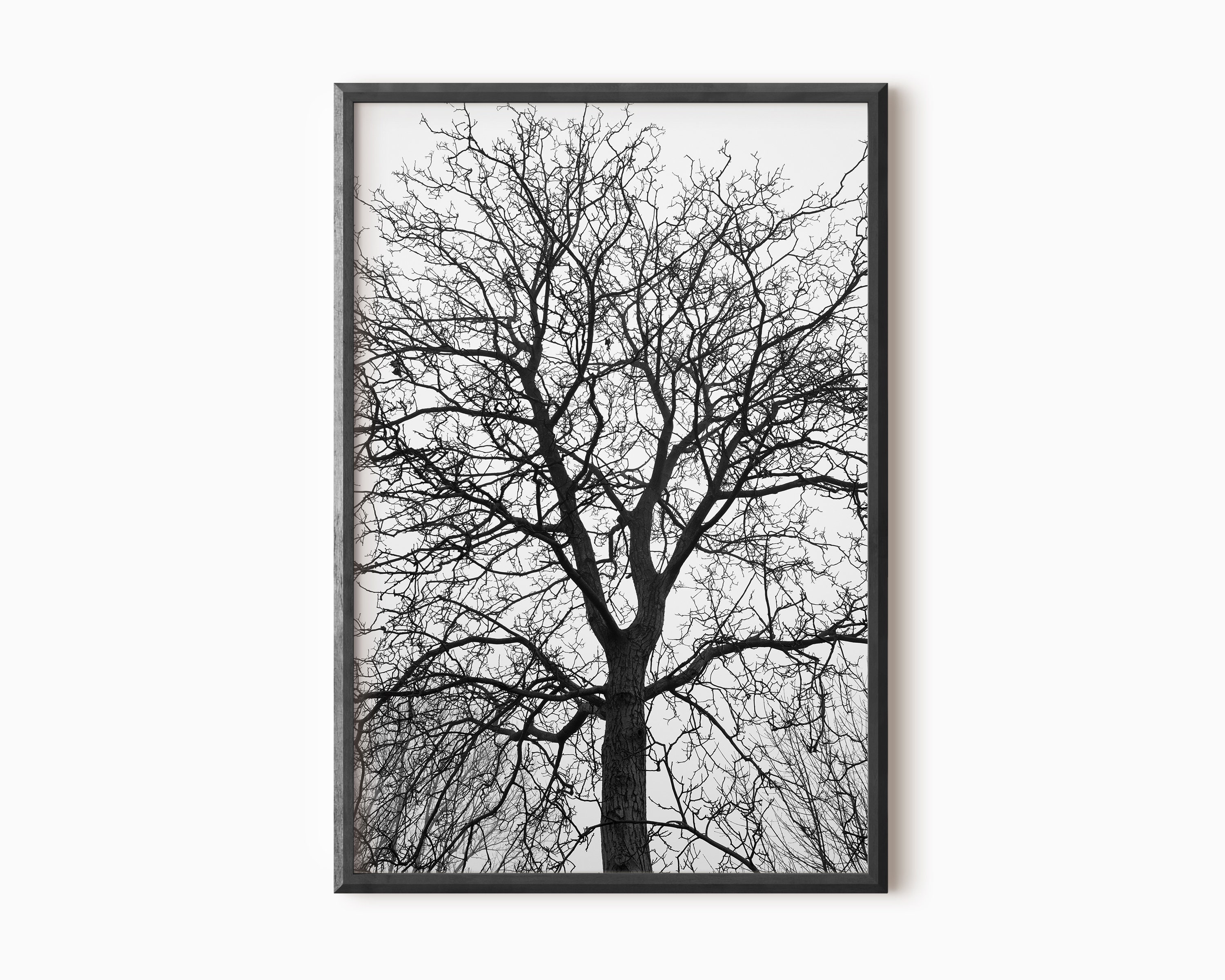 Black Tree Print | Black and White | Tree Wall Art | Minimalist Art ...