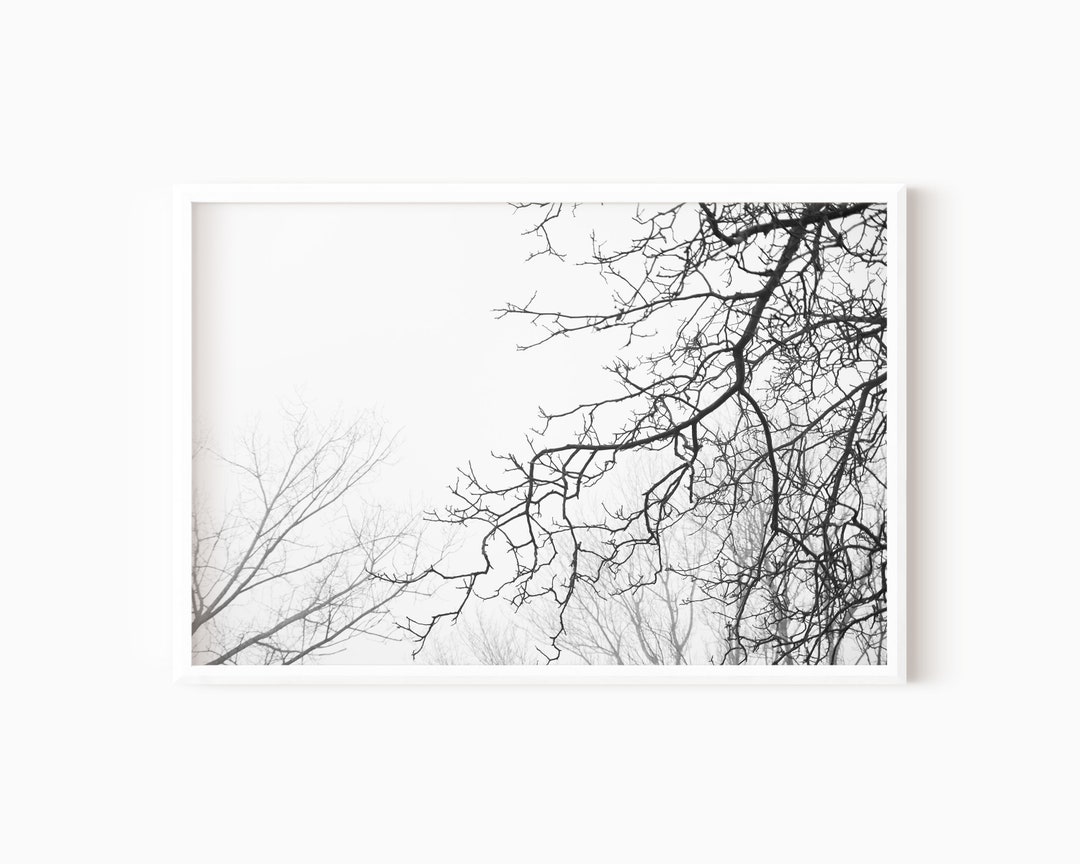 Black and White Tree Print | Tree Branches Printable Art #0113 - Etsy