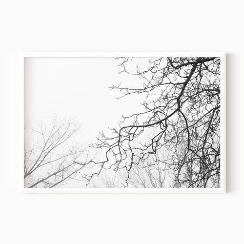 Black Tree Print Black and White Tree Wall Art - Etsy