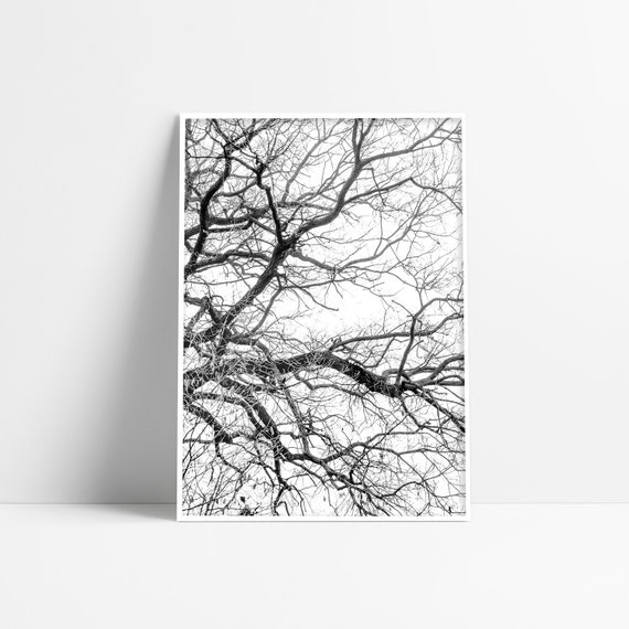 Tree Branch Print Nature Wall Art Black And White Tree Wall | Etsy