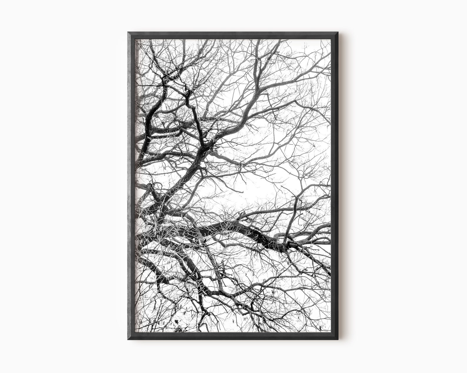 Tree Branch Print Nature Wall Art Black and White Tree Wall - Etsy