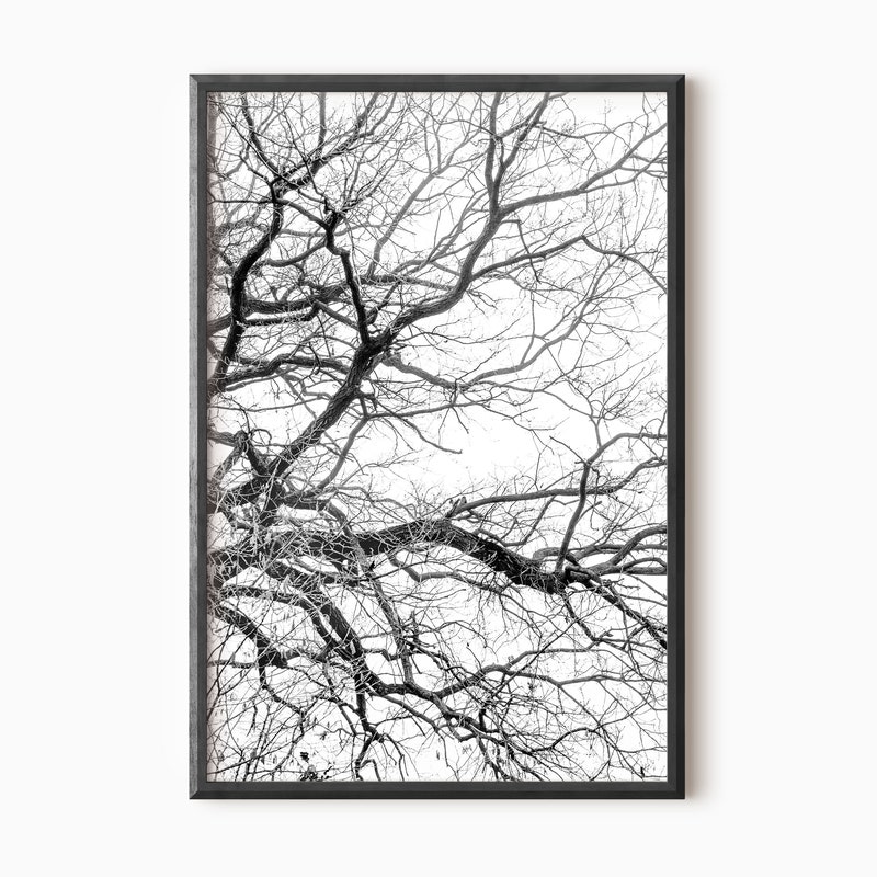 Tree Branch Art - Etsy