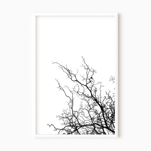Black Tree Print Black and White Tree Wall Art | Etsy