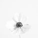 Single Flower Print | Minimalist Printable Floral Wall Art DOWNLOAD ...