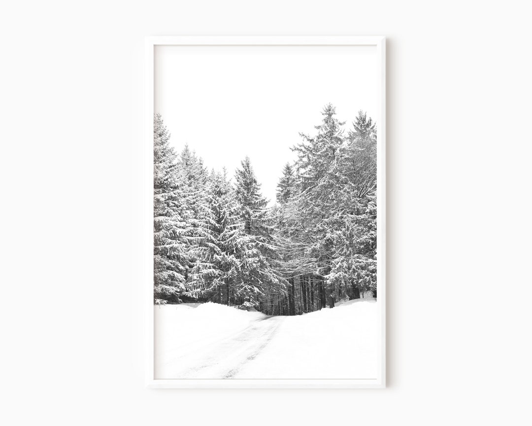 Snowy Pine Tree Forest Digital Print | Winter Photography Instant ...