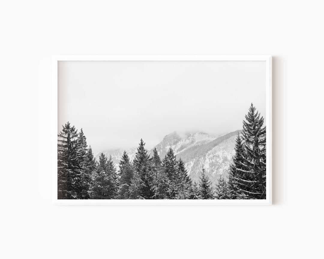 Winter Forest Print Forest Photography Pine Trees Forest Instant ...