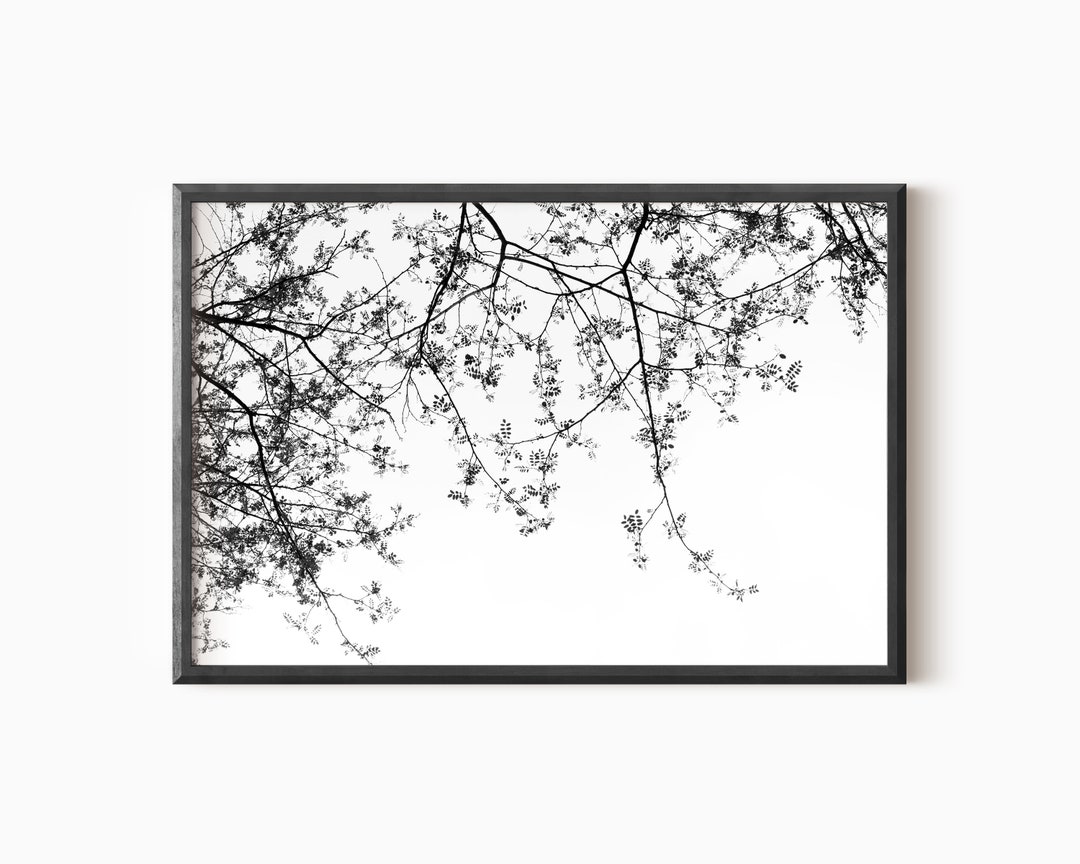 Tree Branches Wall Art | Black and White Prints | Printable Forest ...