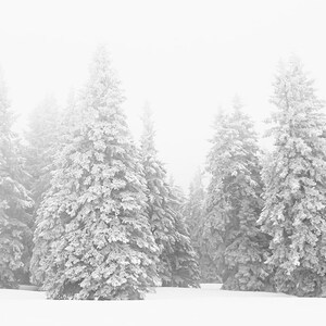 Winter Forest Print | Snow Covered Trees | Snowy Forest | Nordic Winter ...