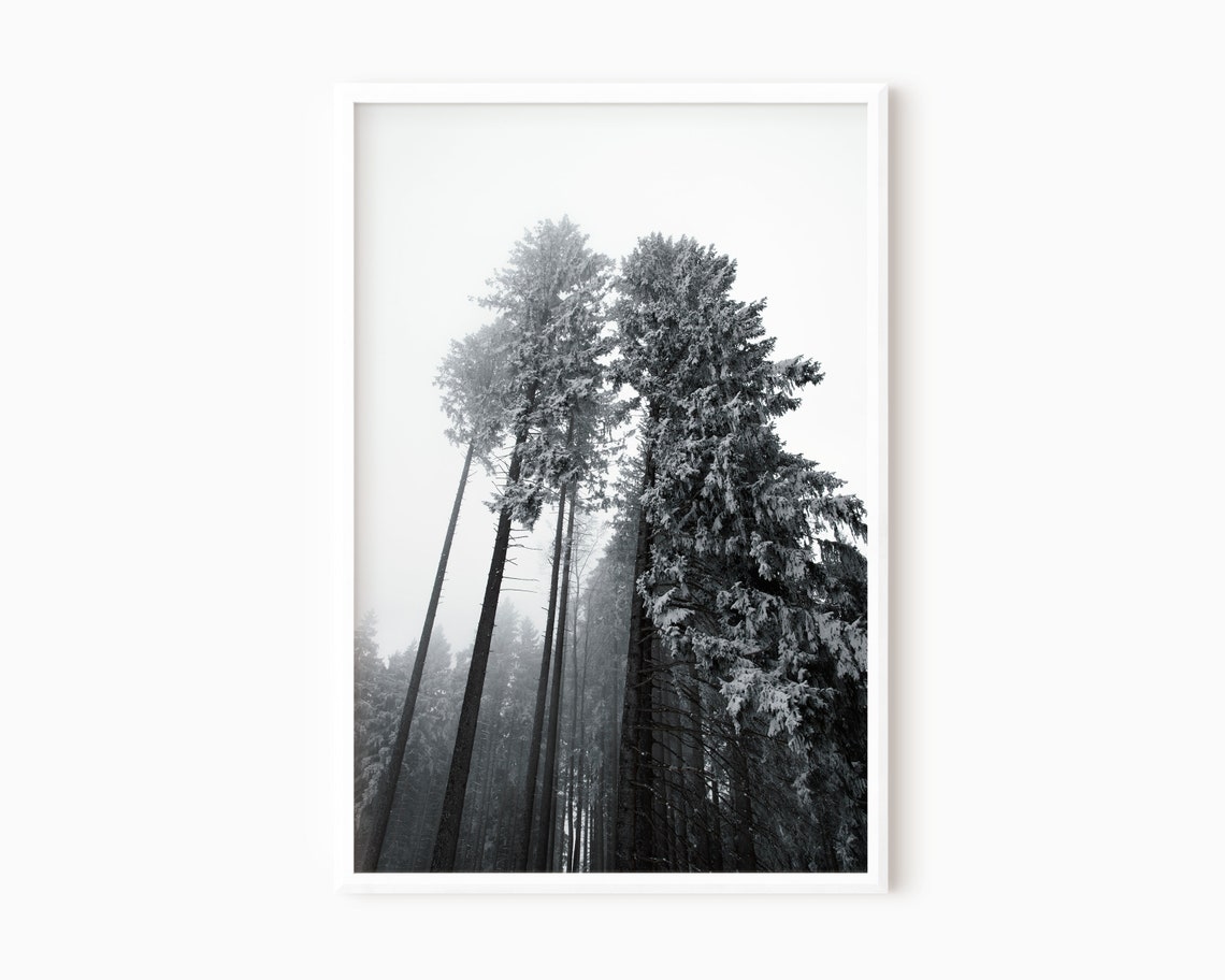 Printable Forest Art Pine Tree Print Wall Hanging Home Decor - Etsy