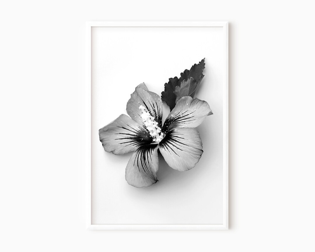Hibiscus Print | Printable Floral Wall Art DOWNLOAD #0135 - Etsy