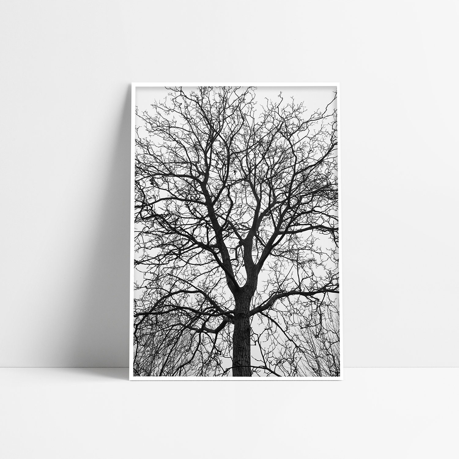 Black Tree Print Black And White Tree Wall Art | Etsy