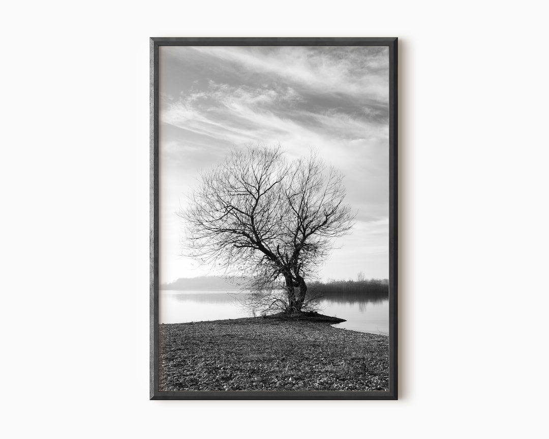 Tree Print | Black and White Printable Wall Art | Instant Download ...