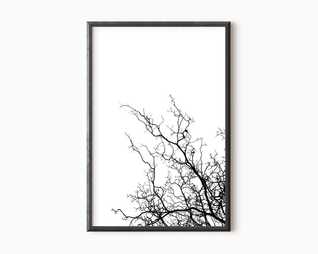 Tree Branches Print | Tree Photography Digital Download #0052 - Etsy