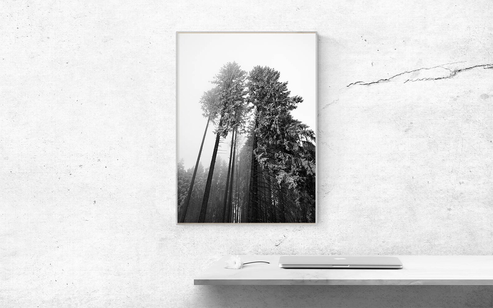 Printable Forest Art Pine Tree Print Wall Hanging Home Decor | Etsy