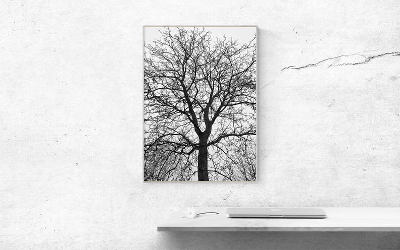 Black Tree Print Black And White Tree Wall Art | Etsy