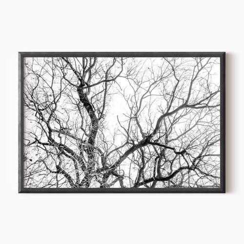 Black Tree Print Black and White Tree Wall Art - Etsy