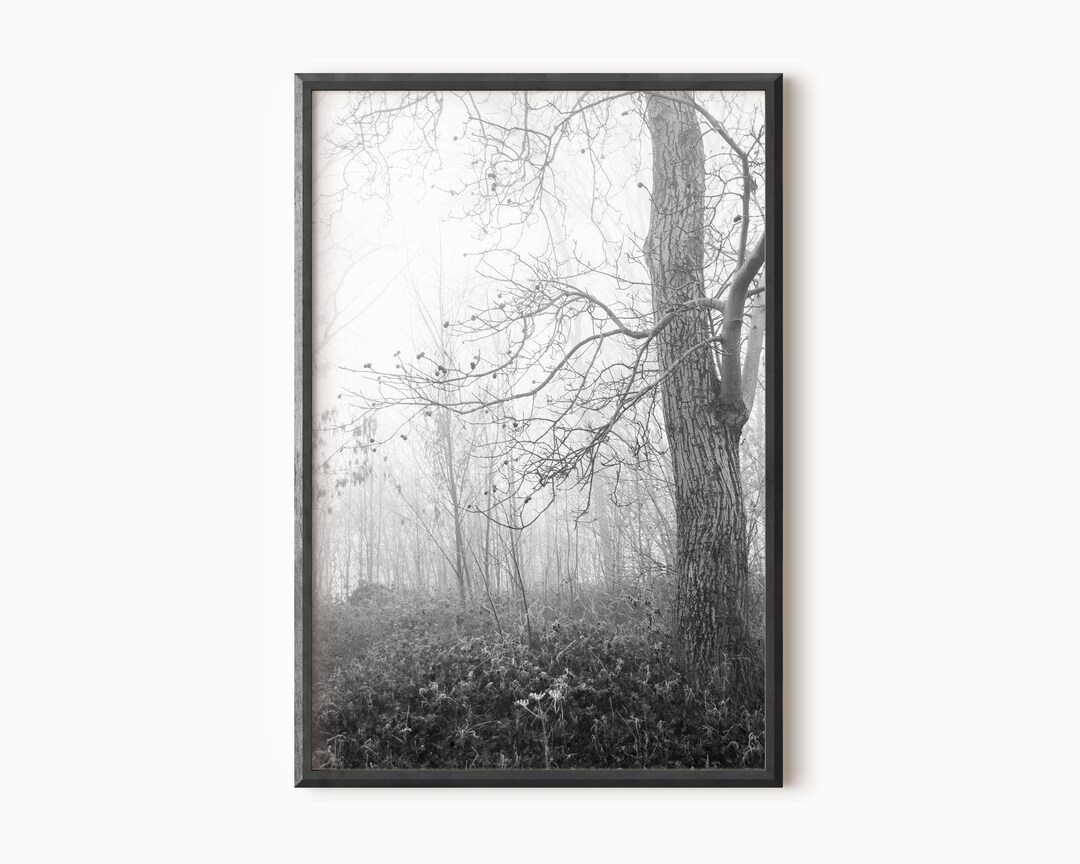 Digital Forest Print | Printable Tree Art Print #0341 - Etsy