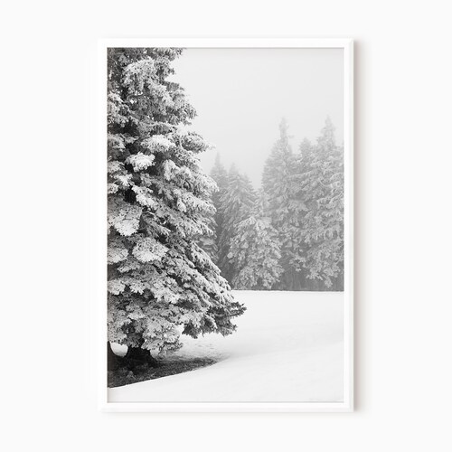 Black Tree Print Black and White Tree Wall Art | Etsy