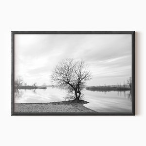 Tree Landscape Print | Digital Lake Photography | Instant Download ...