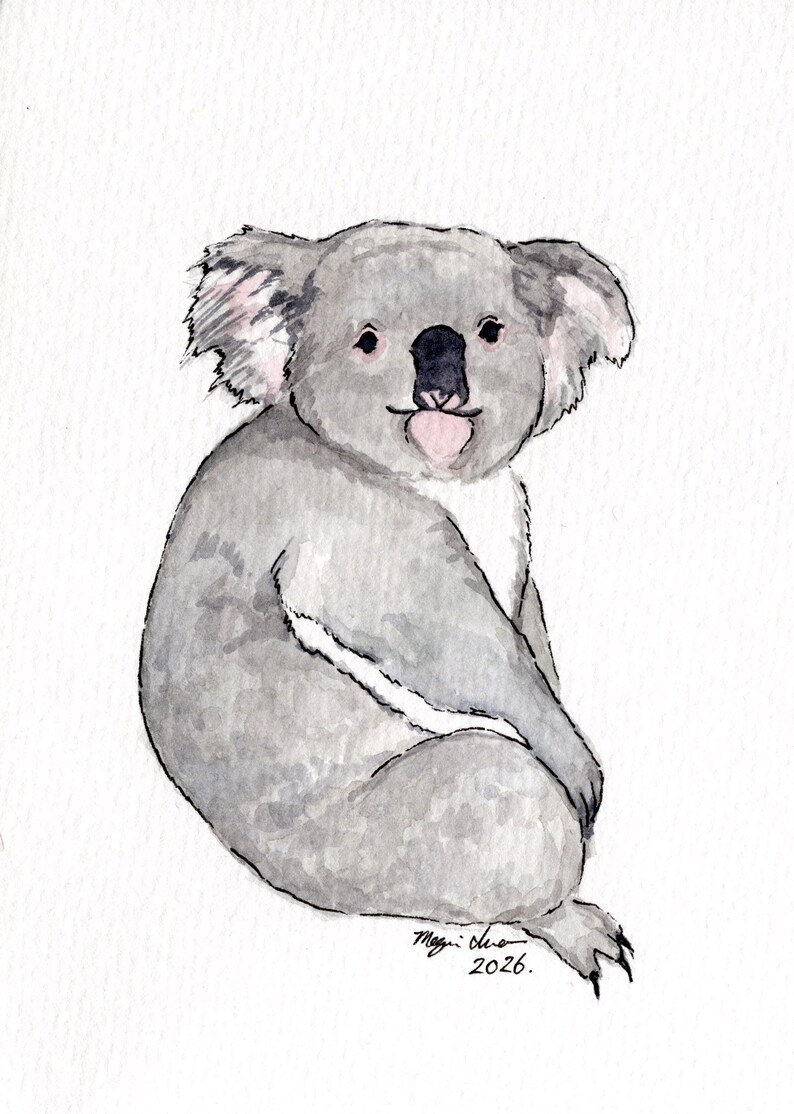Anatomy of the Koala (digital Download of Original Labeled Handmade ...