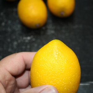 Faux Plastic 'real Look Alike' Decorative Lemons - Etsy