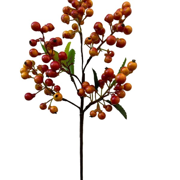 Faux Berries - Etsy
