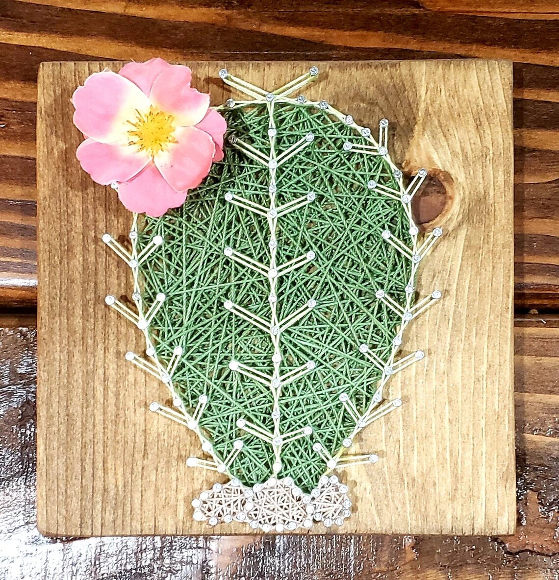 Cactus Succulent String Art Cacti With Flower String Art | Etsy
