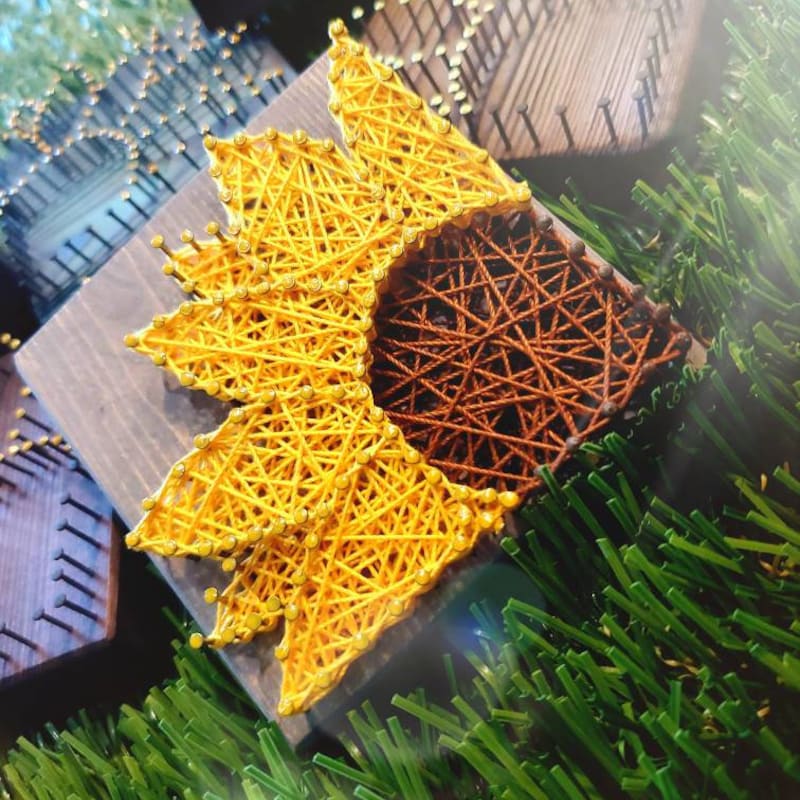 String Art Kit - Etsy