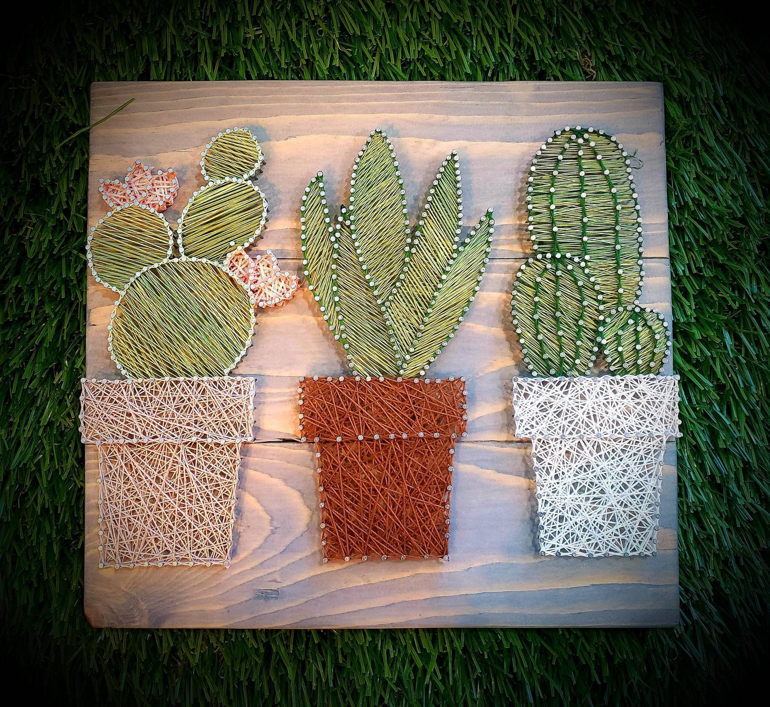 3 Cacti Succulent String Art Wall Art Desert Ladscape - Etsy