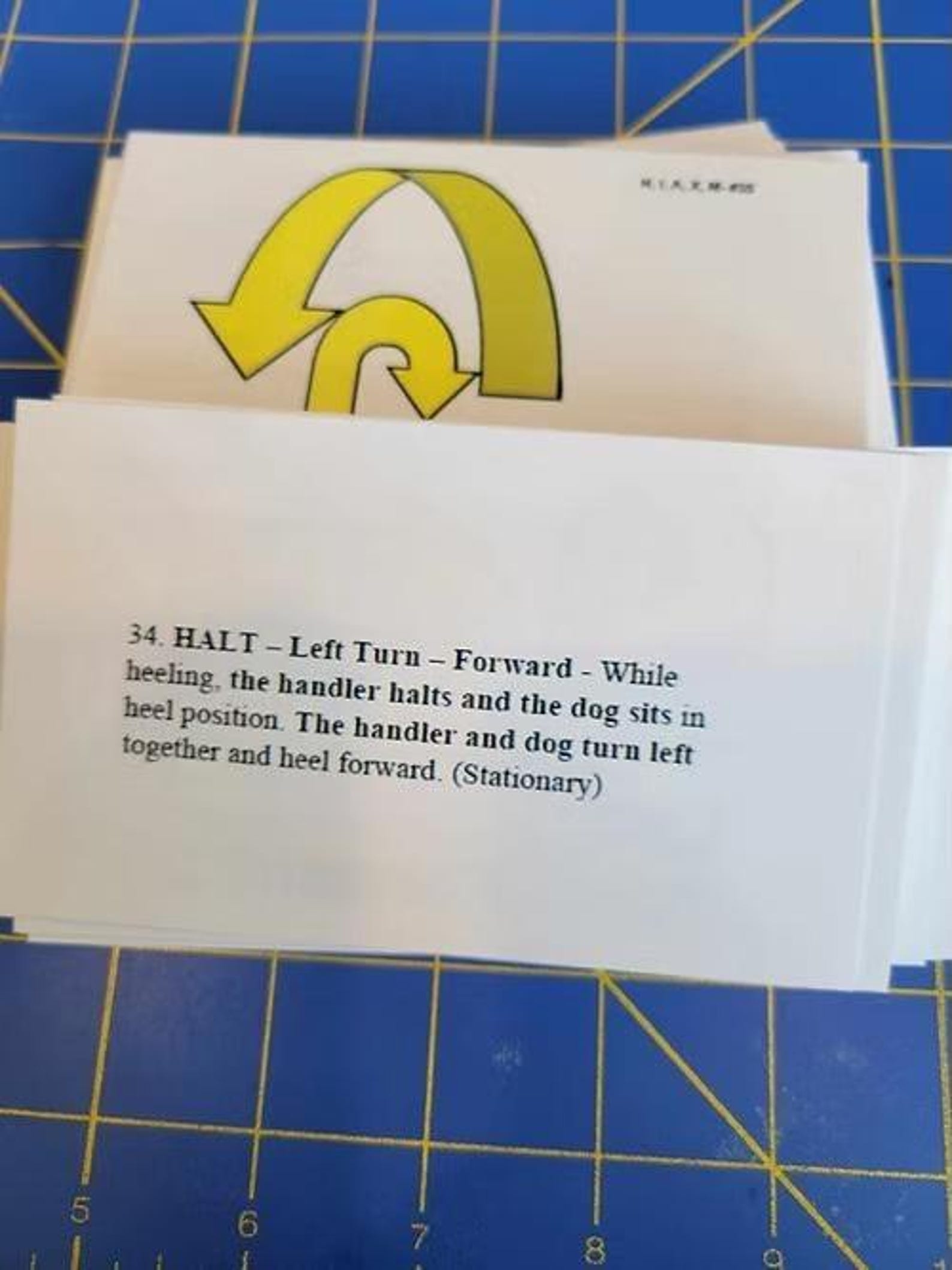 AKC Rally Flash Card Digital File Download - Etsy
