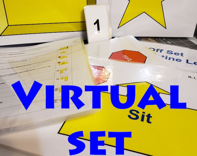 Rally Signs Akc's Virtual ADVANCED & EXCELLENT Classes Laminated Set - Etsy