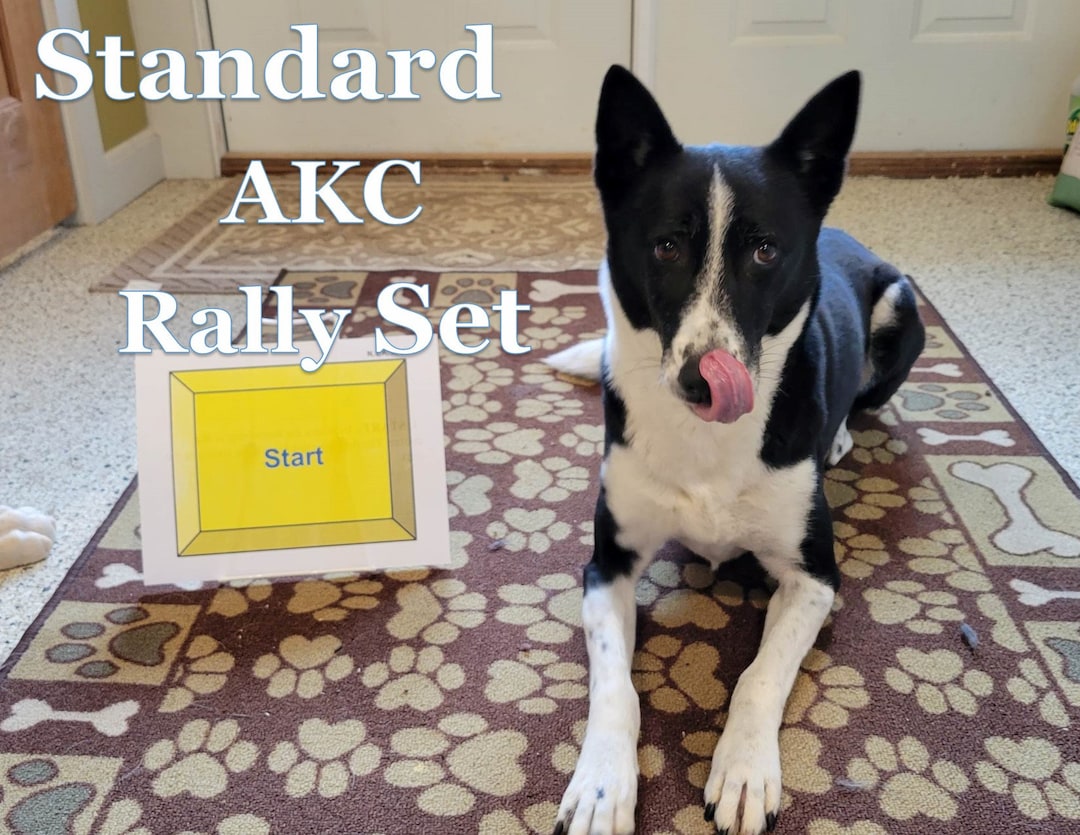 AKC Rally INTERMEDIATE/ADVANCE Add-on Set - Etsy