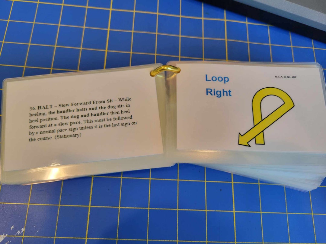 AKC Rally Flash Cards - Laminated - Etsy