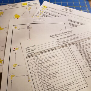 AKC Rally Signs Akc's Virtual Novice Class Only Laminated Set - Etsy