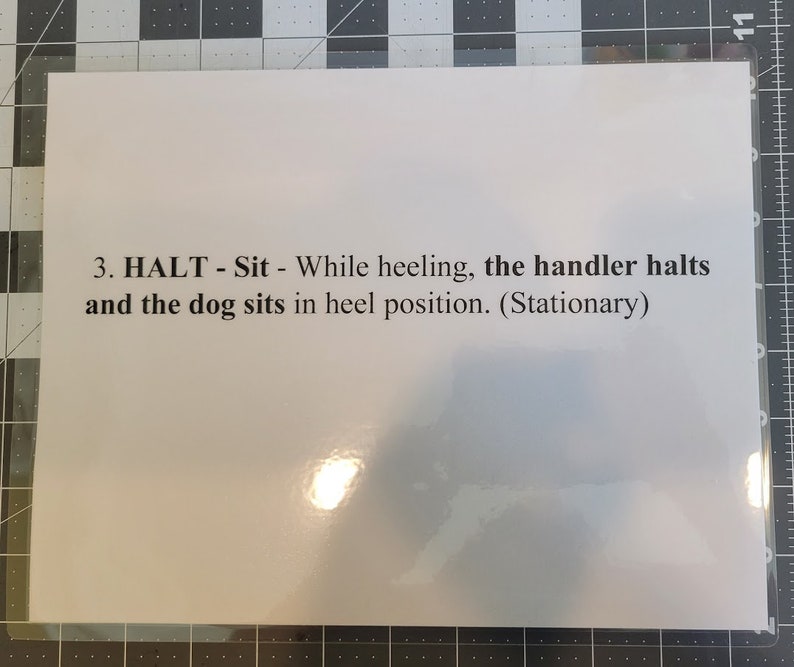 Double Sided Rally Signs Akc's NOVICE MASTER - Etsy