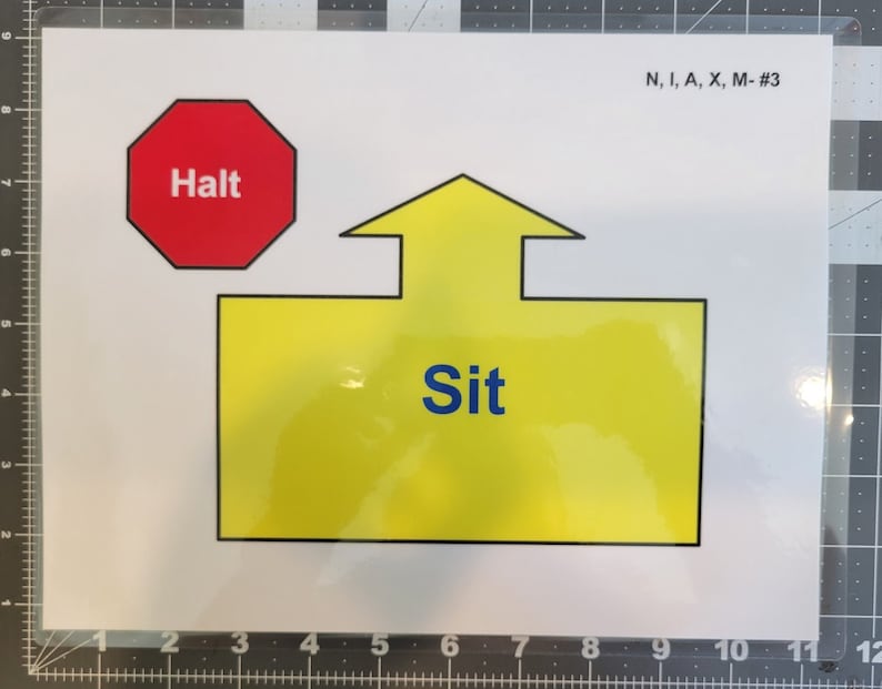 Double Sided Rally Signs Akc's NOVICE MASTER - Etsy