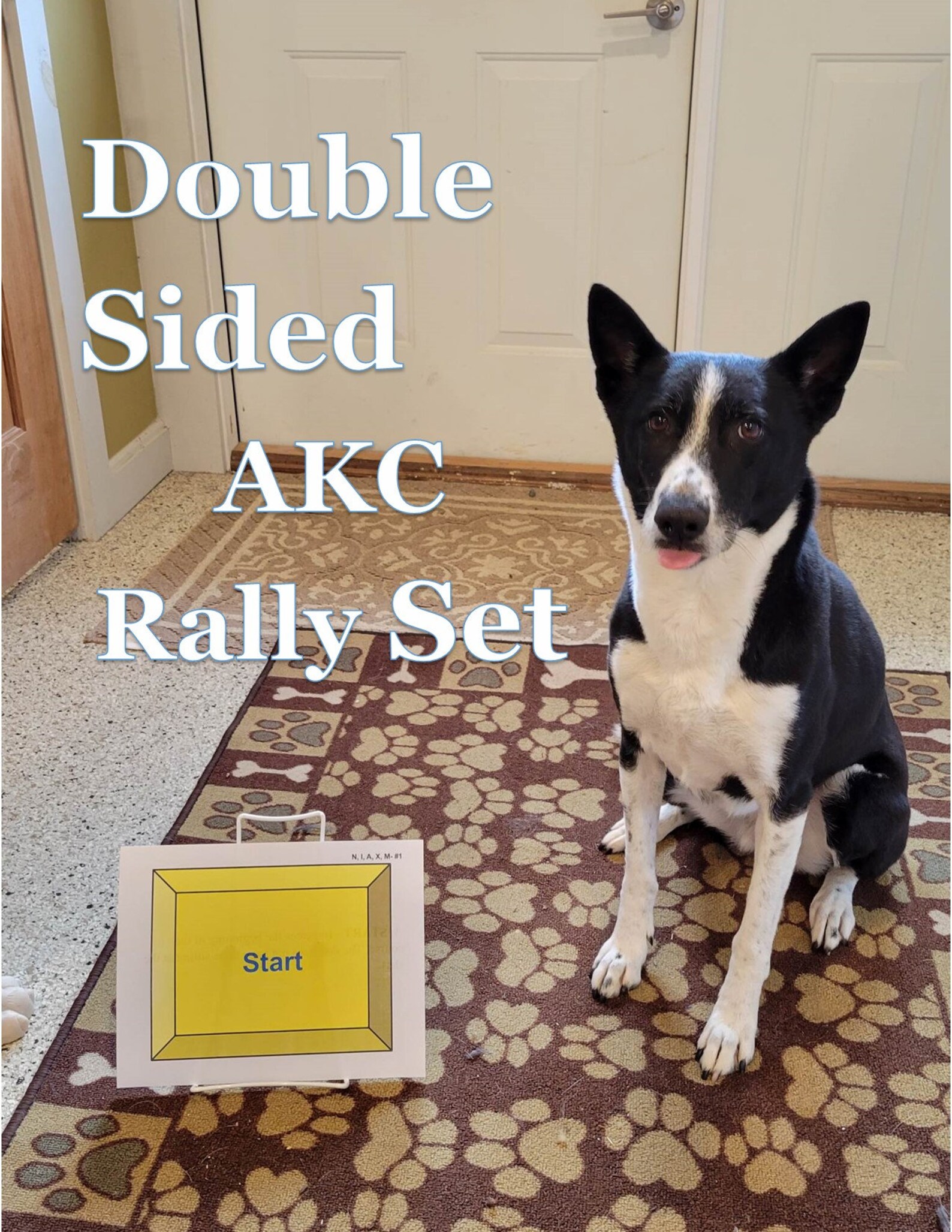 Double Sided Rally Signs Akc's NOVICE MASTER - Etsy