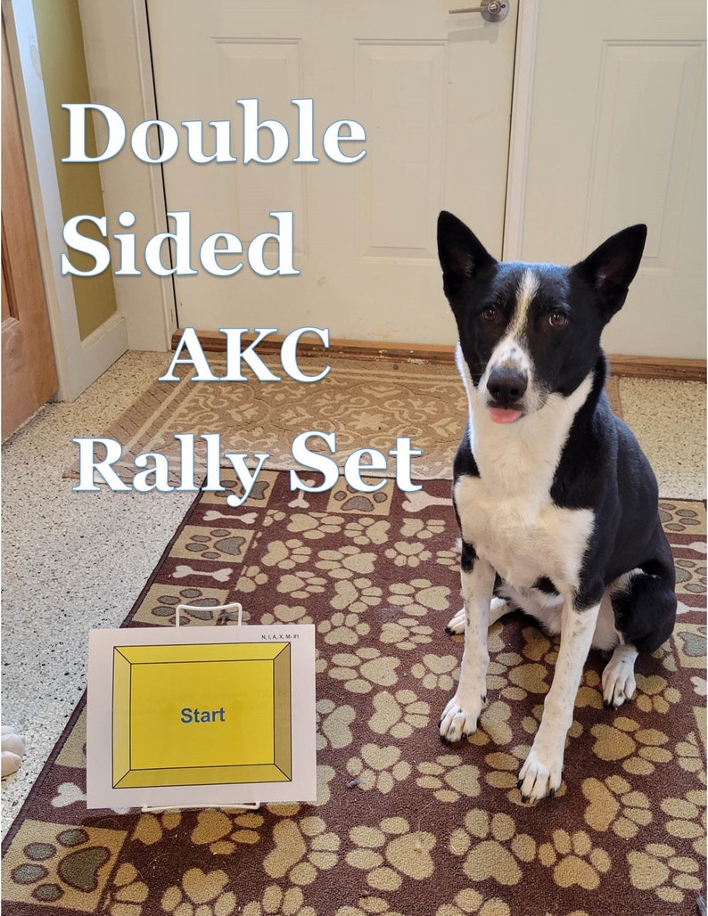 Double Sided Rally Signs Akc's NOVICE MASTER - Etsy
