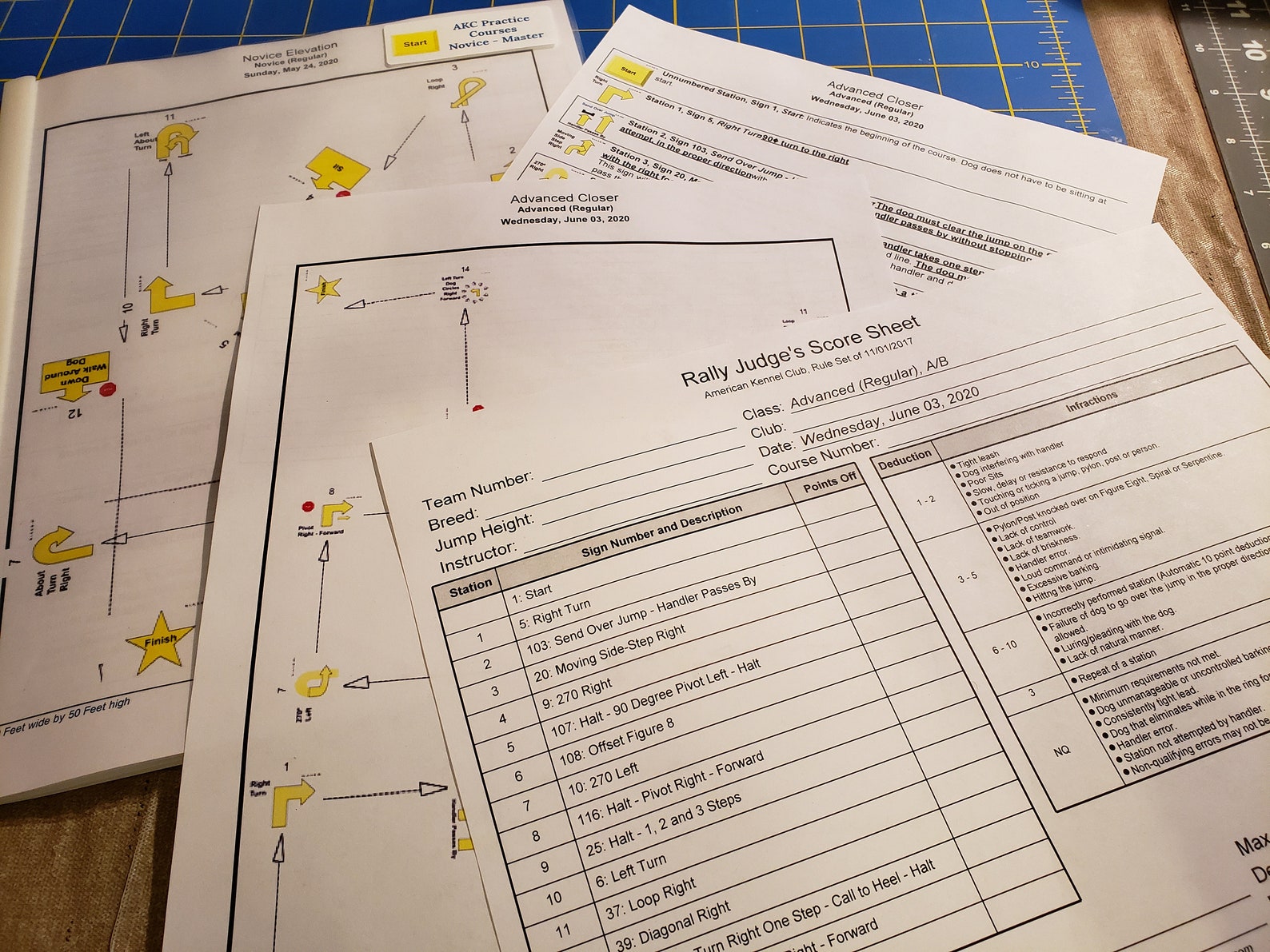 AKC Rally Signs Akc's Virtual EXCELLENT Class Only Laminated Set - Etsy