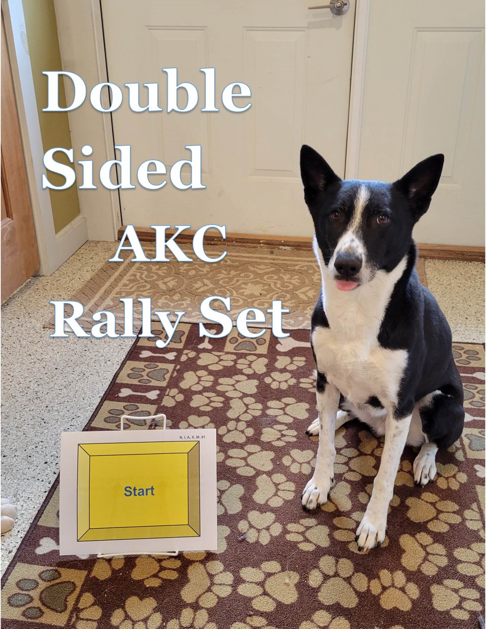 Doublesided Rally Signs Akc's Virtual NOVICE EXCELLENT Classes ...